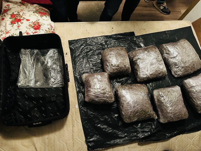 Полицијата во септември уапси над 100 лица и заплени големо количество дрога Fokus Mk